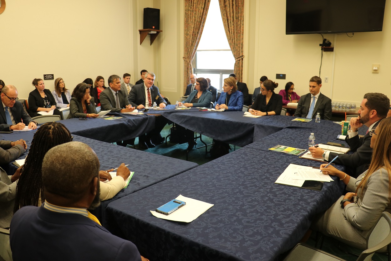 FFTP President And CEO Ed Raine Joins D.C. Roundtable On Crisis In Haiti
