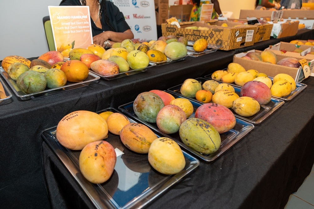 Second Annual Island SPACE Mango Festival Returns June 7